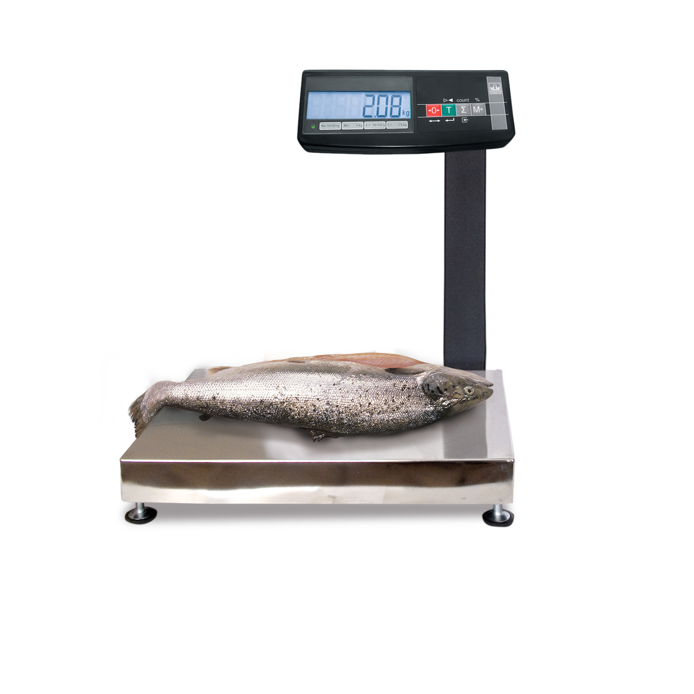 Balances industrielle Poids MK-AB